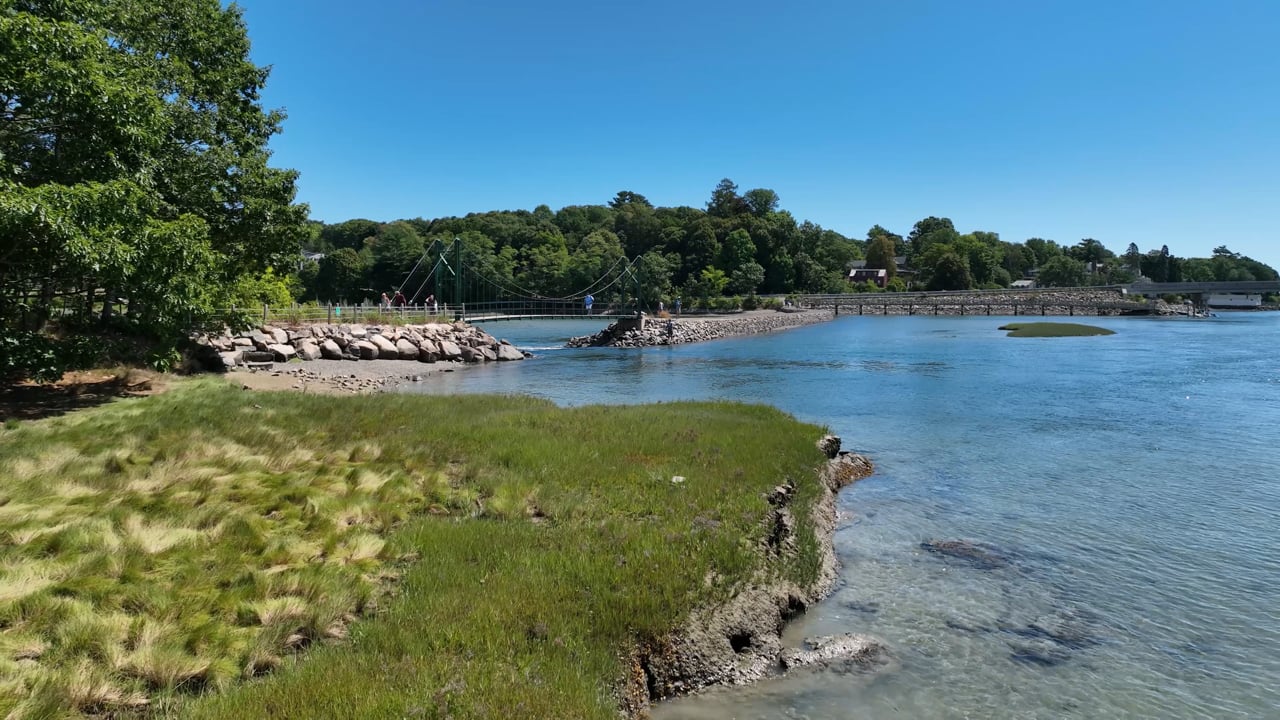 Lake Water Shore HD Free Stock Video Footage